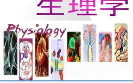 3R原则包括reduction、replacement、refinement分别是指 - 题海